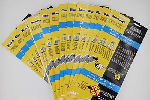 Blue-Touch Extra Large Strong Rats Glue Traps, Peanut Butter Scented Glue Boards for Mouse,Rats, mice, Snakes and Crawling pests. Jumbo Size 12.5 x5.8 inches, 1.75 OZ β 12 Traps