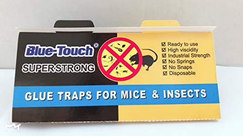 Blue-Touch Mouse Glue Traps, Peanut Butter Scented Best glue traps glue boards for mice, insects and crawling pests. 8.5x5.5 inches, 1.1 OZ β 100 Traps/Box