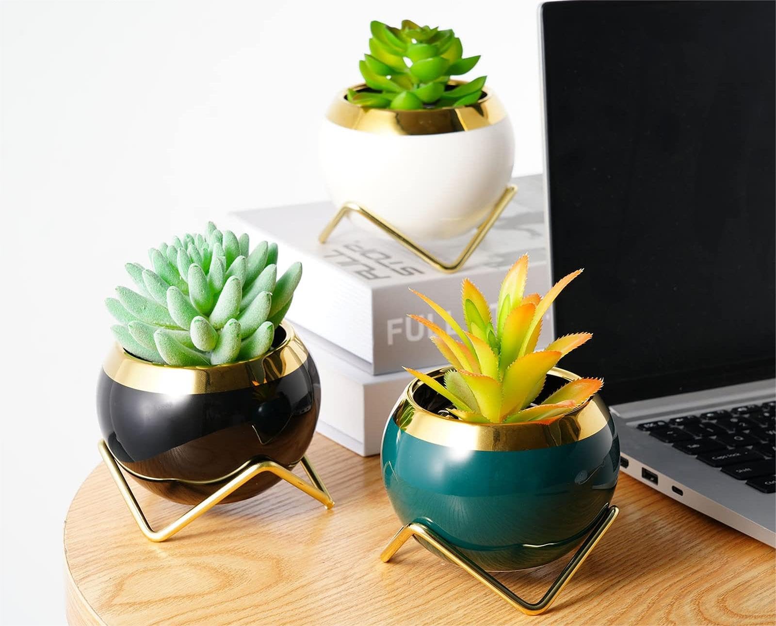 BATTIPAW 3PCS Air Plant Holders | Unique Large Ceramic Plant Pots w/ Metal Stand for Cacti & Succulents