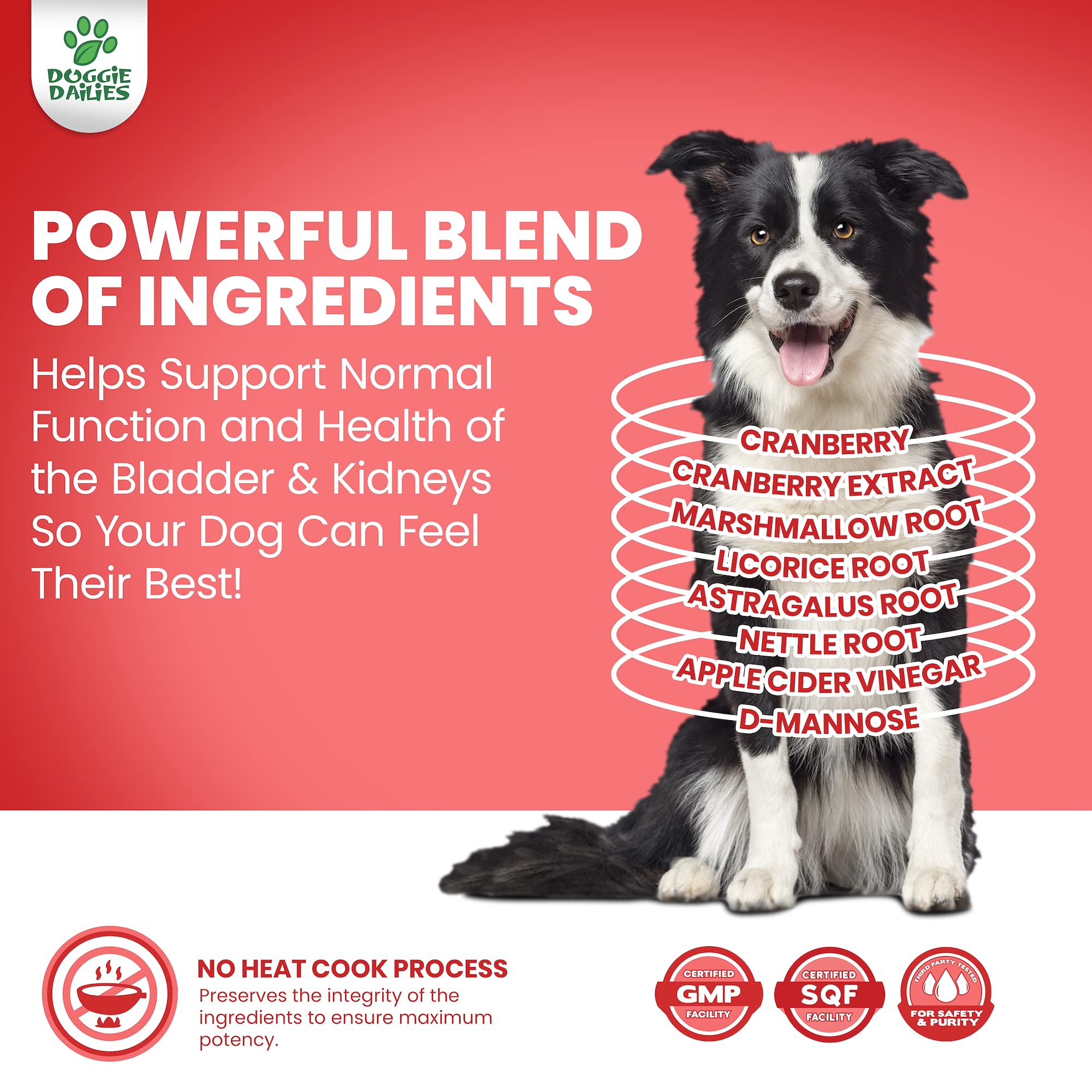 Doggie Dailies Cranberry Supplement for Dogs, 225 Soft Chews, Urinary Tract, Bladder & Kidney Support for Dogs, Cranberry for Dogs with Marshmallow Root, Licorice Root & Apple Cider Vinegar (Chicken)