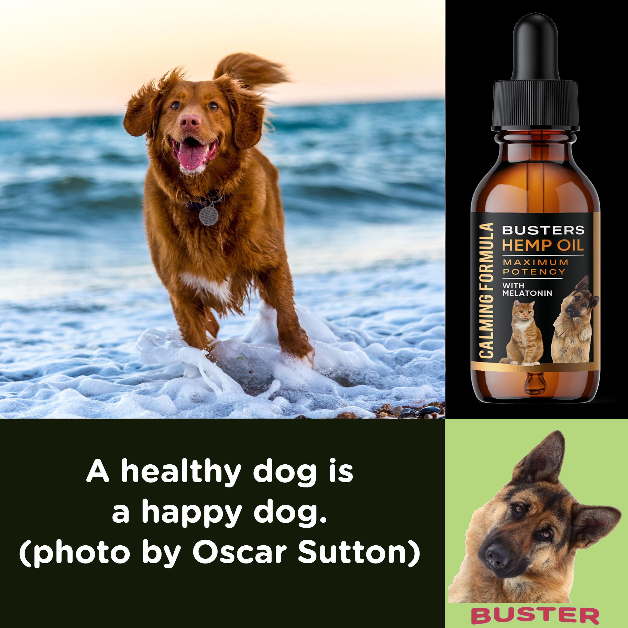 Busters Calming Hemp Oil, Enriched with Melatonin for Dogs, Cats, Pets, Sleep Aid, Natural Anxiety Relief, Ideal Omega Ratio, Adrenal and Cushings Support