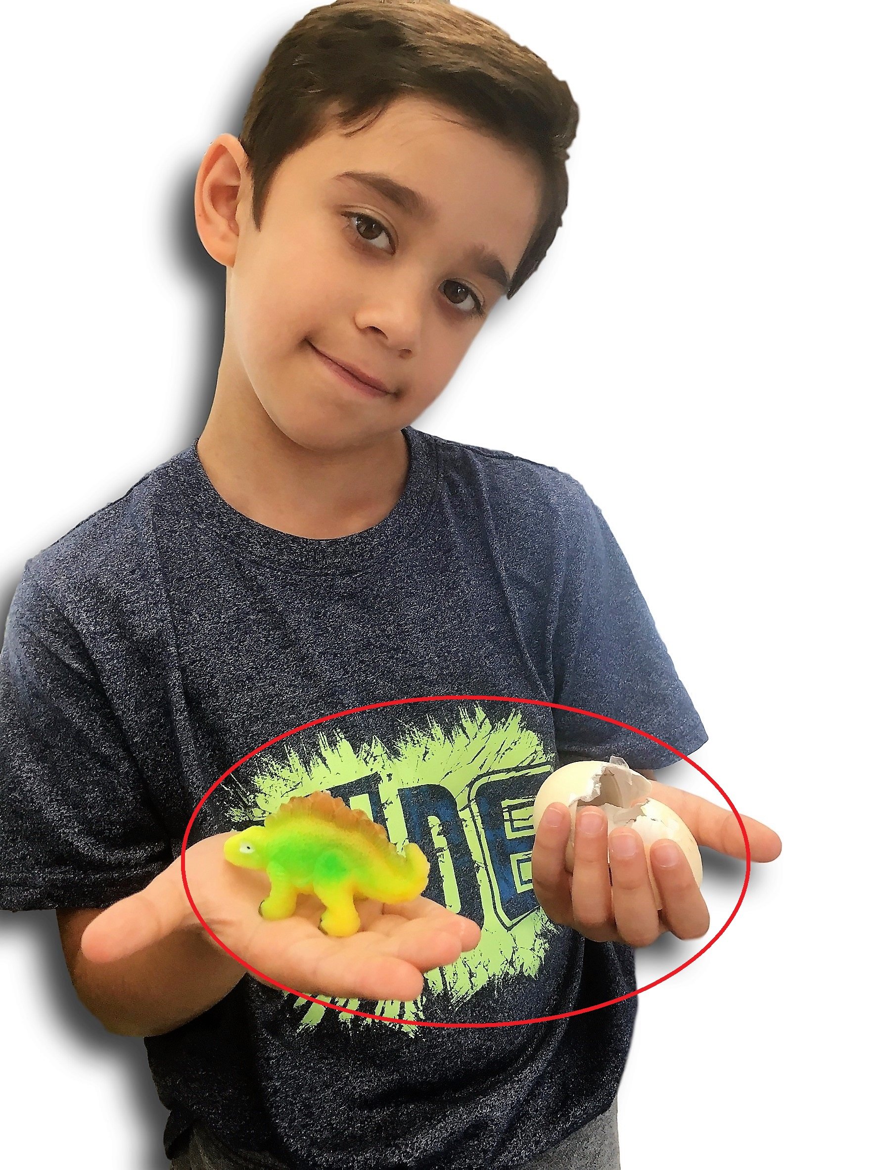 JA-RU Magic Grow Growing Dinosaur Toy (1 Egg Assorted) Surprise Hatching Dino Eggs in Water for Kids. Jurassic Party Favors Easter Basket Stuffers Pinata Fillers. 312-1A