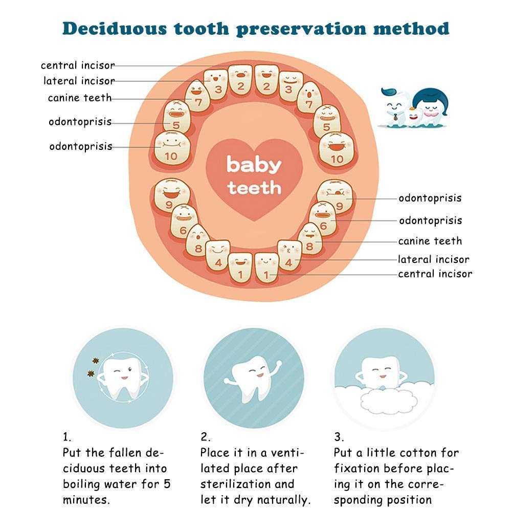 Baby Tooth Box,Solid Wood Teeth Boxes,Teeth Storage Box,Baby Save Boxes,Kids Keepsake Organizer for Baby Teeth and Hair,Baby Shower& Birthday Gift