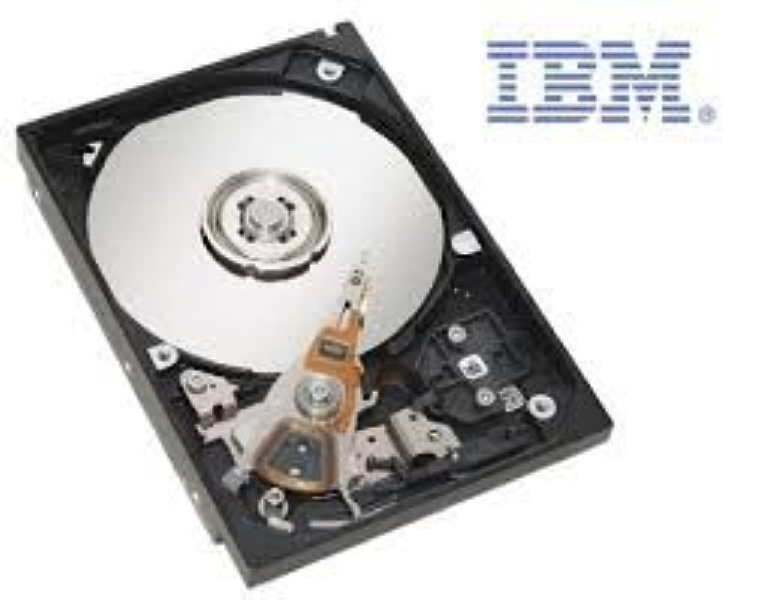 IBM 42D0637 - 300GB 2.5" SAS 10K 6Gb/s SS Hard Drive