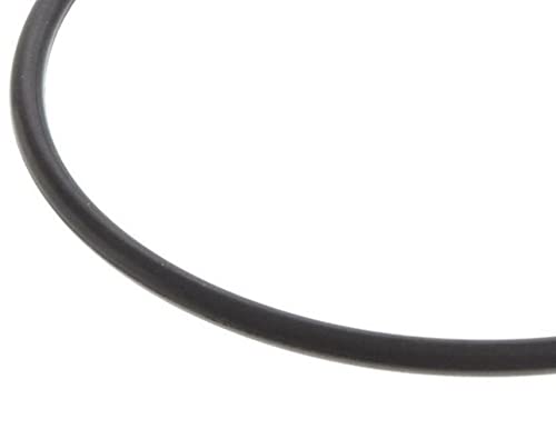 Beaver Island Parts Co. fits Hayward SPX2300Z4 Max Flo XL Strainer Cover O-Ring
