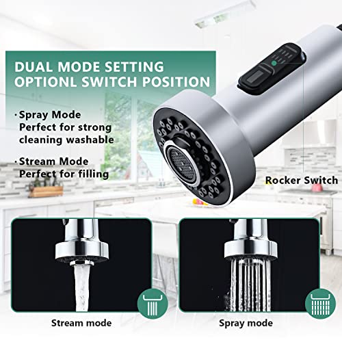 Baydow Single Hole Kitchen Sink Faucet with Pull Out/Down Sprayer, High Arc Stainless Steel Single Handle,Chrome Finish