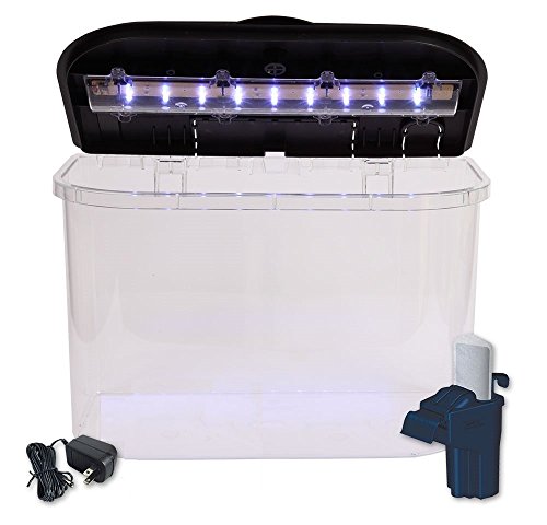 Koller Products 5-Gallon Aquarium Kit with LED Lighting and Power Filter, Ideal for a Variety of Tropical Fish