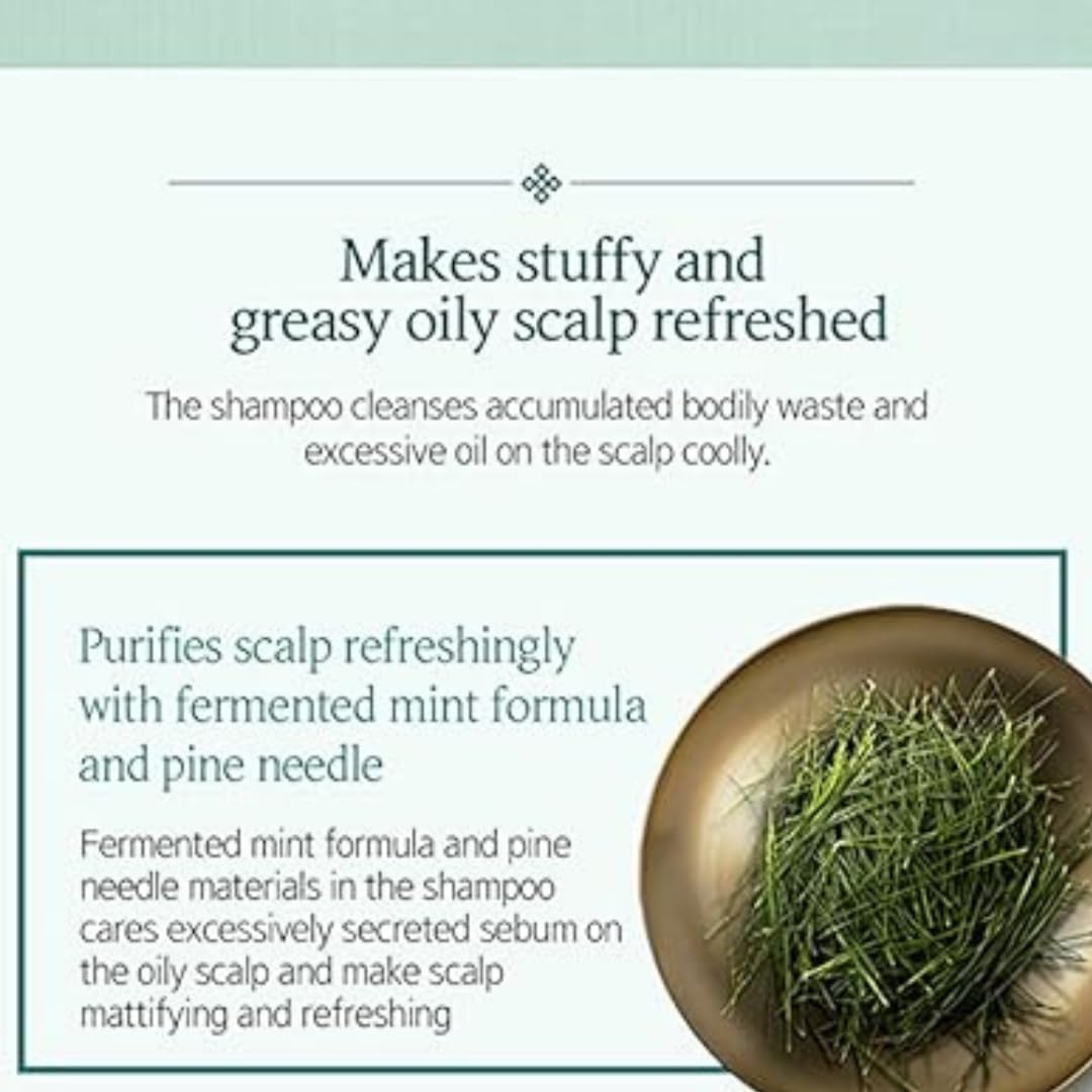 Ryo Scalp Deep Cleansing & Cooling Shampoo 500ml (16.9oz) Excess sebum care, Shampoo for smelly scalp, Fermented mint and other natural ingredients, Anti- Dandruff treatment