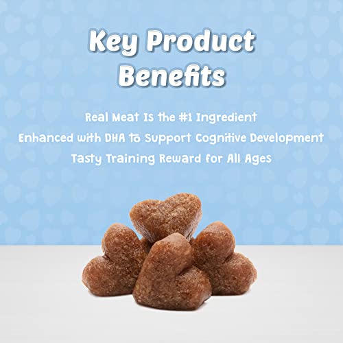 Blue Buffalo BLUE Bits Natural Soft-Moist Training Dog Treats TO-GO, Chicken Recipe 1-oz Bags (Pack of 12)