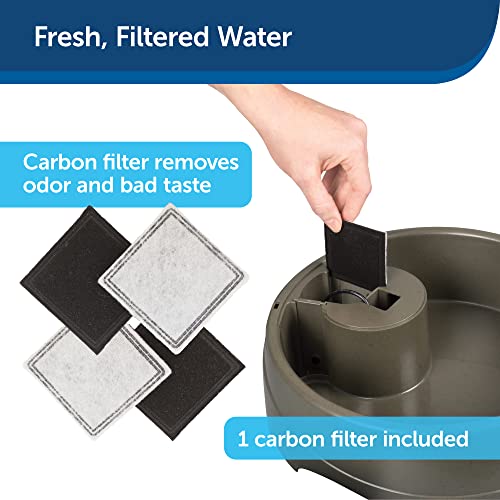 PetSafe Current Pet Water Fountain - Circulating Drinking Fountain for Cats and Dogs - Small, Forest, 40 oz Capacity Water Dispenser - Carbon Filter Included - Easy to Clean Design