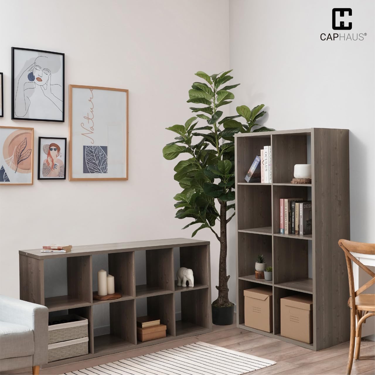 CAPHAUS Sturdy Room 13-Inch Cube Storage Organizer Shelf, with Extra Thick Exterior Edge, Open Storage Shelf Divider, Bookcase, 8-Cube, White