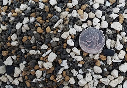 Boon Bonsai Soil Mix - Inorganic Substrate with Pumice, Lava and Akadama - 1.25 Dry Quarts