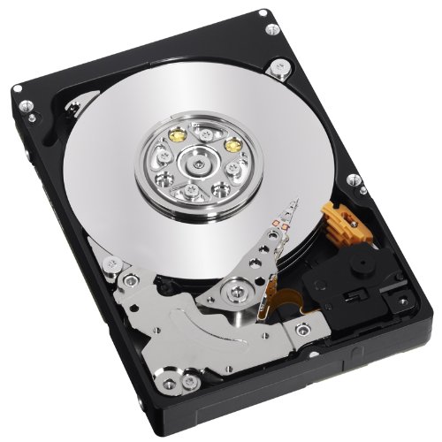 Western Digital Bare Drives 900 GB S25 SAS 10,000 RPM 32 MB Cache Bulk/OEM Enterprise Hard Drive - Amazon Frustration - Free Packaging (WD9001BKHG)