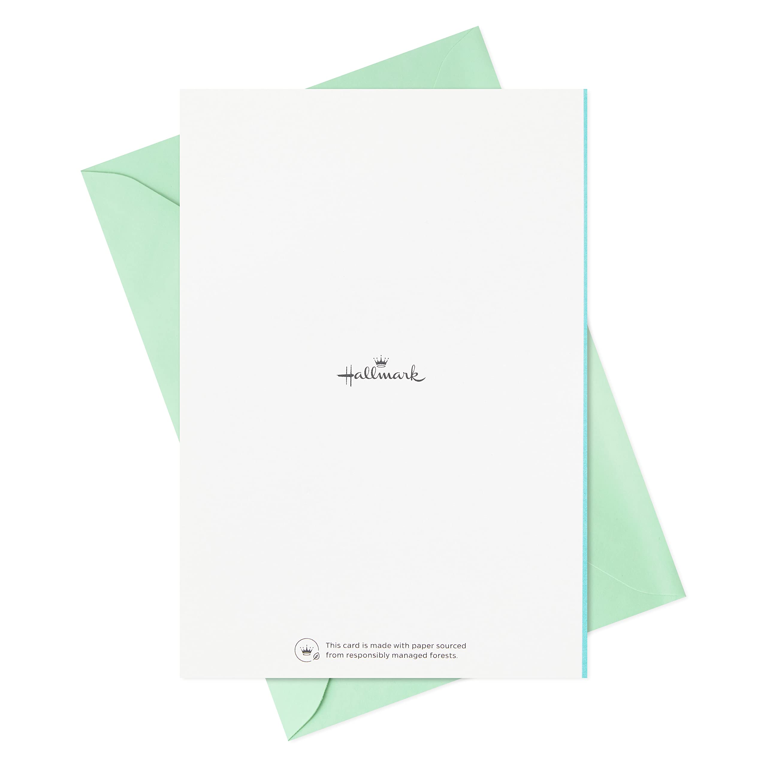 Hallmark Graduation Cards Assortment for Her, She Believed She Could (16 Cards and Envelopes, 4 Designs)