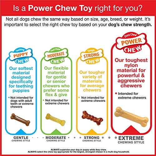 Nylabone Dura Chew Power Chew Textured Bone Flavor Medley Small/Regular (1 Count)
