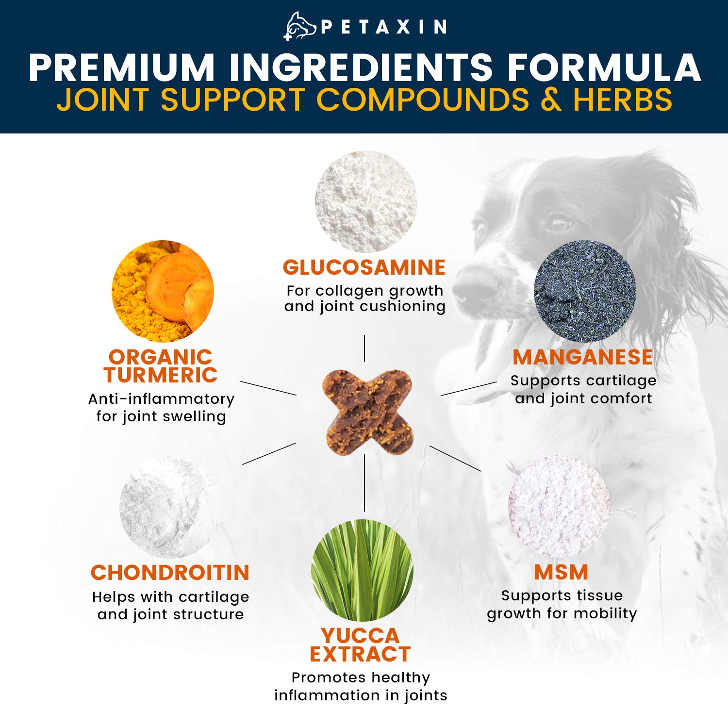 Petaxin Glucosamine for Dogs β Hip and Joint Supplement - Support for Dog Joint Pain Relief and Dog Mobility β with Chondroitin, MSM, Turmeric, & Yucca