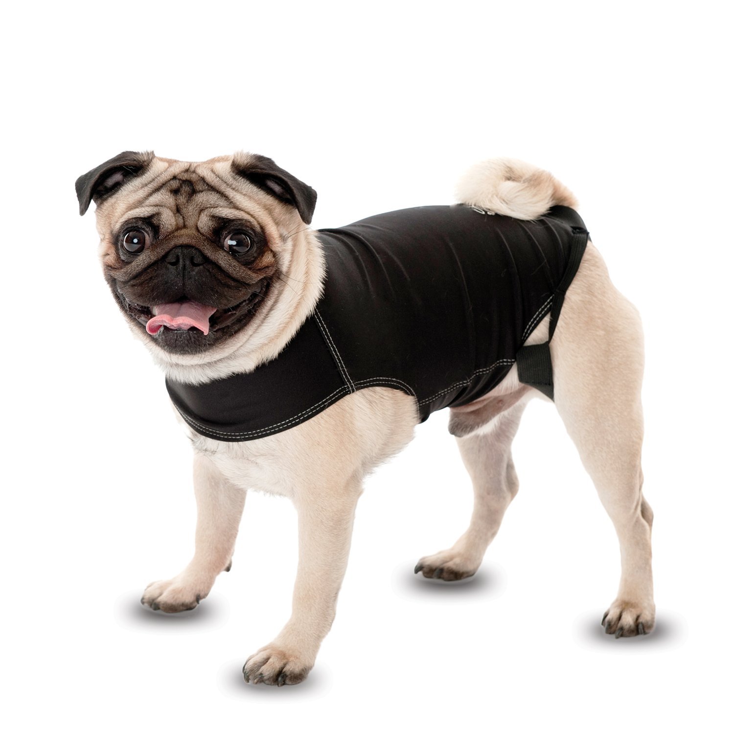 Company of Animals Anxiety Wrap, Black, Toy Sized