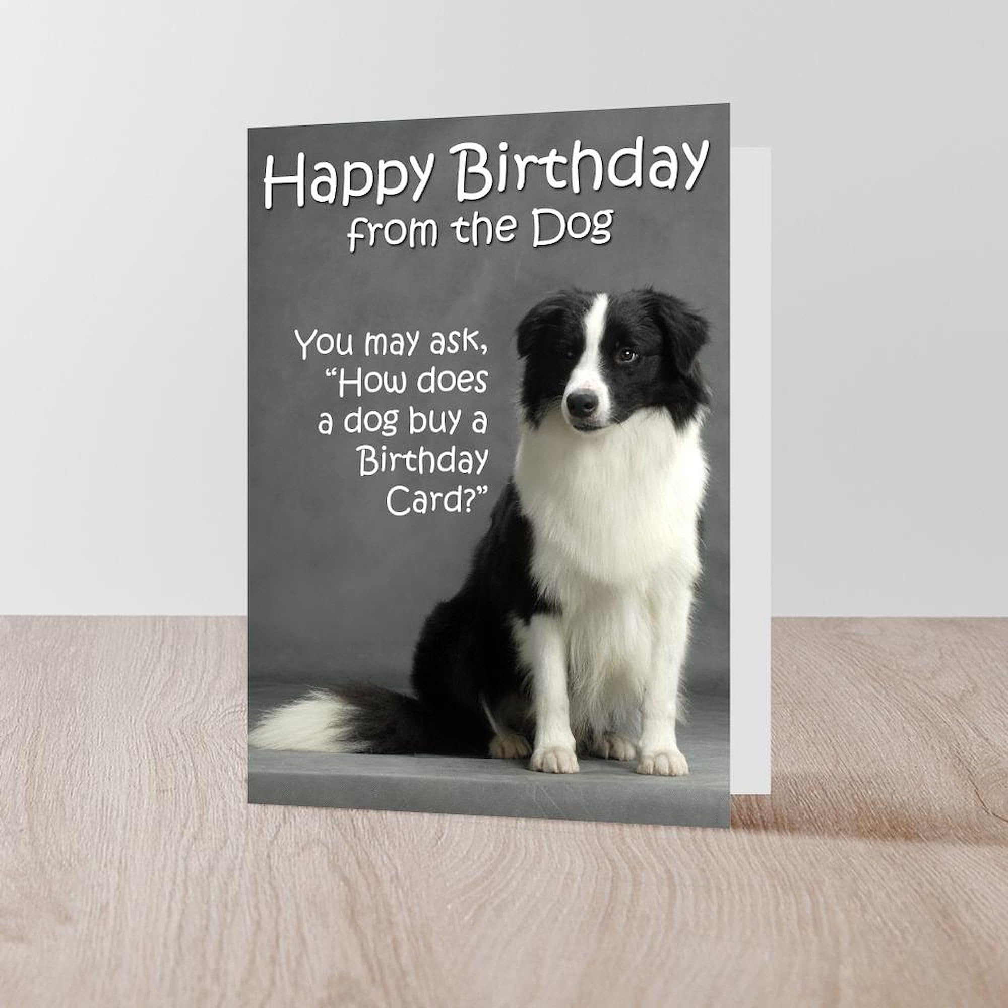 CafePress Border Collie Birthday Card Folded Greeting Card Matte