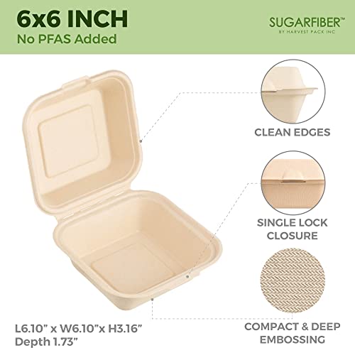 Harvest Pack GOURMET SHOWCASE [50 COUNT Sugarfiber 6 X 6 PFAS FREE Compostable Square Hinged Container, Single Compartment Clamshell Takeout Box, Made from Eco-Friendly Plant Fibers, No PFAS Added