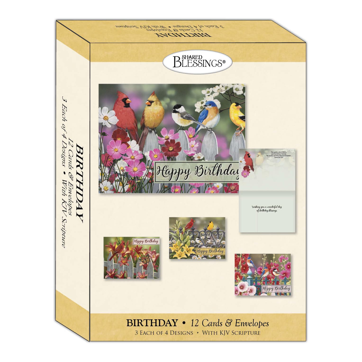 Crown Point Graphics Shared Blessings Birthday Birds 12 Boxed Birthday Cards, Beautiful Birds with KJV Scripture, Art by William Vanderdasson