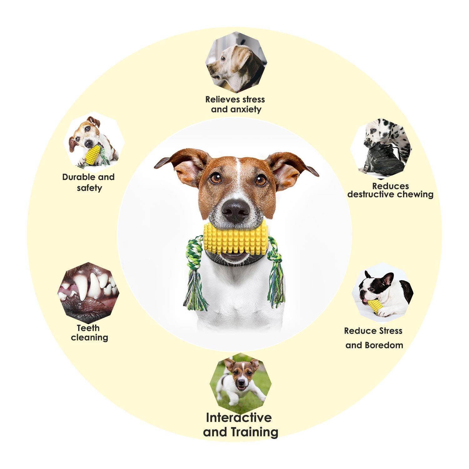 Dog Toothbrush Dog Chew Toys for Aggressive Chewers Large Breed Medium Breed,Dog Dental Care Teeth Cleaning Chew Toys