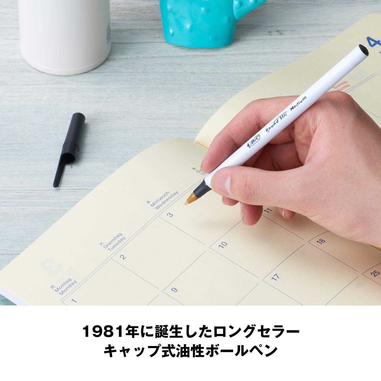 BIC Round Stic 1.0 mm med/MOY Ball Point Pen 1 Box 12 PCS (Pack of 12) (Black)
