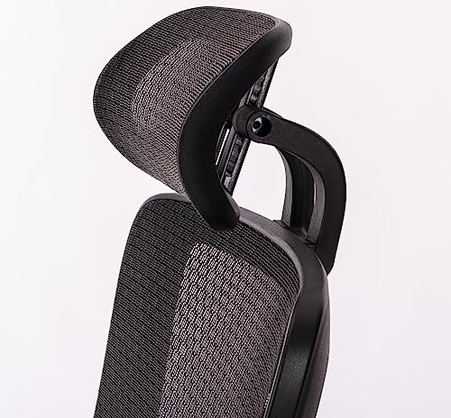 Office Chair, High Back Ergonomic Desk Chair, Breathable Mesh Desk Chair with Adjustable Lumbar Support and Headrest, Swivel Task Chair with Armrests, Executive Chair for Home Office (Black)