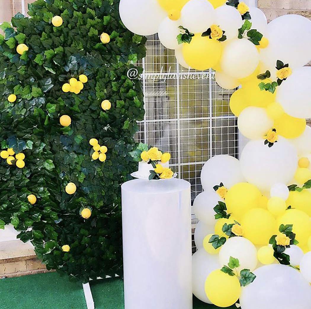 Beaumode DIY Yellow And White Balloon Garland Arch kit for 1st birthday Sunshine Lemon honeybee Popcorn Baby Shower Bridal Shower Party Backdrop Decoration (Yellow White)