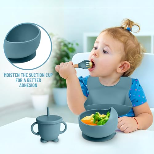 AYBABY Baby Led Weaning Supplies, 10 pieces Baby Feeding Set with Suction Divided Plate with lid, Bowl, Ergonomic Fork and Spoon, Sippy Cup, Bib and Teething feeder - (blue)