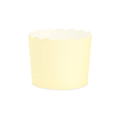 BLUE PANDA 48 Pack Pastel Cupcake Liners Wrappers, Rainbow Color Muffin Paper Baking Cup for Birthday Party