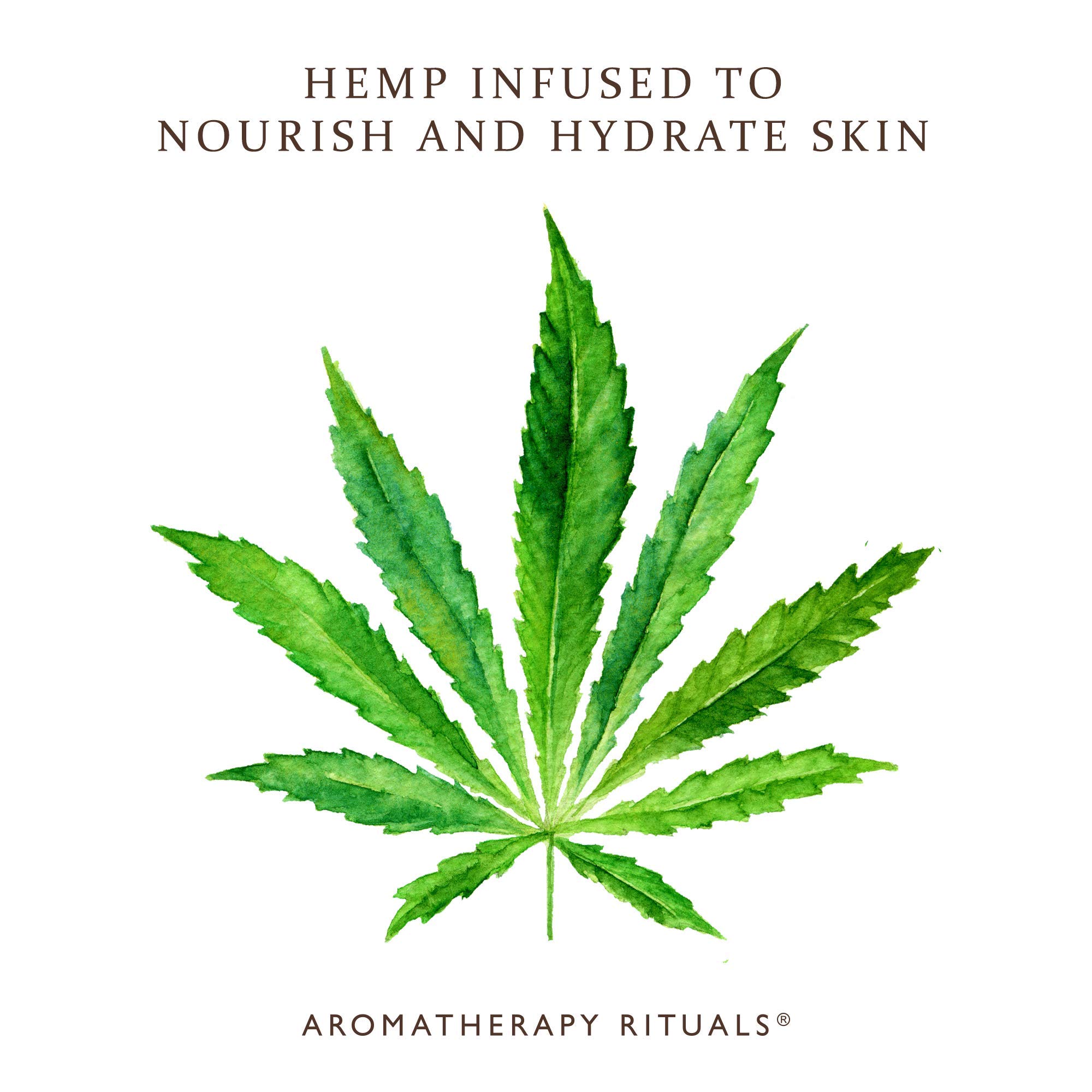 aromatherapy Rituals Hemp Infused Body Wash, rosemary mint, 1 large