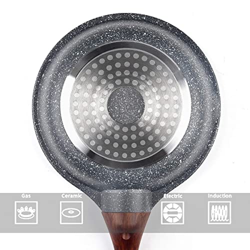 Caannasweis 9.5 Inch with Lid Nonstick Frying Pan Skillet Induction Compatible Stone Cookware Chef's Pan Healthy Egg Omelette Pan PFOA Free