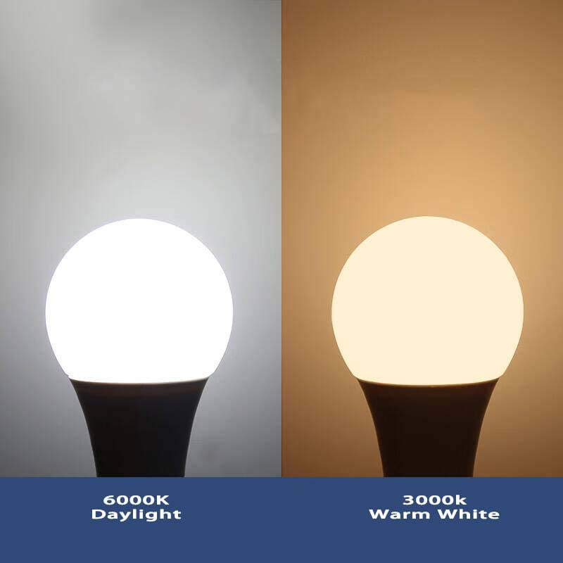Welitesim A15 LED Light Bulbs 3W Equivalent 25 Watt Daylight White 6000K E26 Base 120V A15 3W Bulbs for Bedroom Living Room Home Office Not Dimmable (Pack of 6) (Φ1.7*H3.1 inch