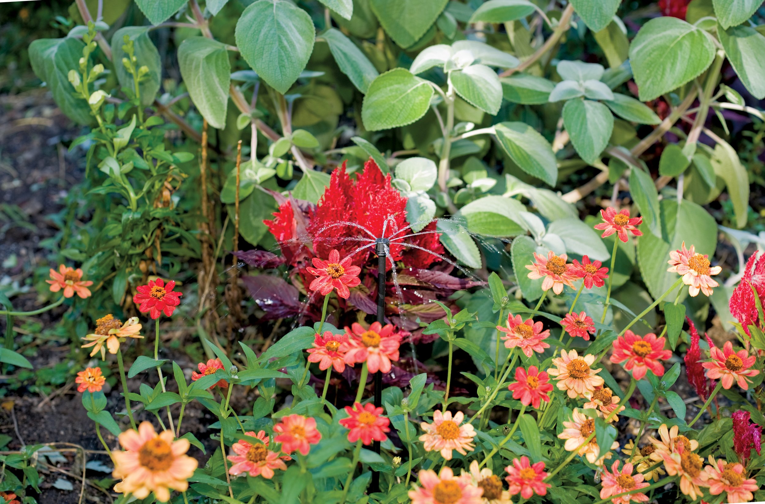 Rain Bird MBUB-F/2S Drip Irrigation 10-32 Threaded Micro-Bubbler, 360° Full Circle Pattern, 2-Pack