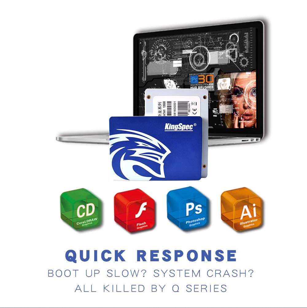 KingSpec 64GB 2.5-Inch SATA III Internal SSD (T-64)