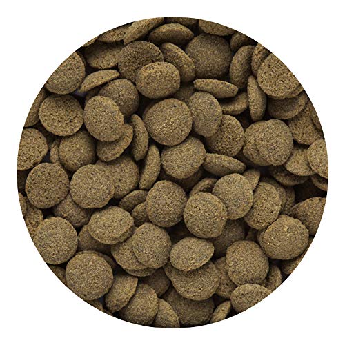 Hikari Usa Inc AHK21566 tropical Sink Wafer 2.2lb