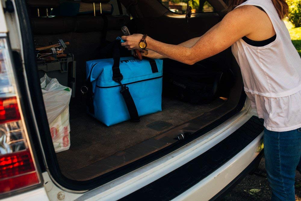 Bison Soft Cooler, Small Cooler Bag, Travel Cooler, Soft Sided Cooler Bag, Camping Coolers, Insulated Cooler, Soft Cooler Bag, Travel Cooler for Car, Bag Cooler