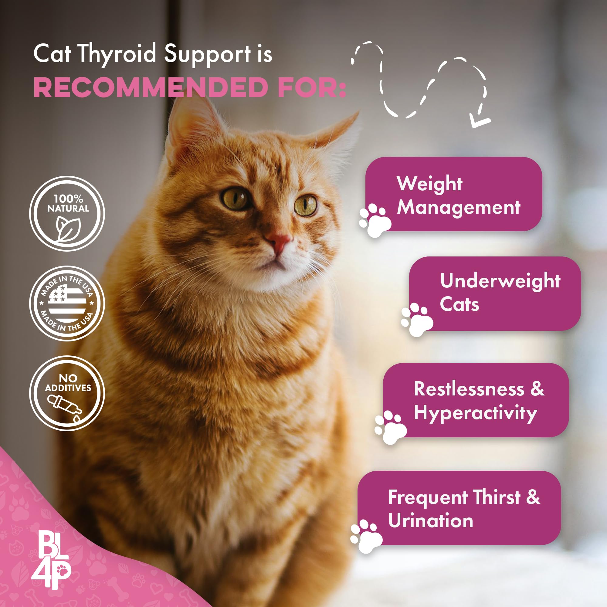 Cat Weight Gain & Hyperthyroidism Treatment - Safe and Effective Cat Appetite Stimulant, Thyroid and Metabolic Support, and Cat Weight Management Remedy - 400 All-Natural Odorless, Tasteless Pills