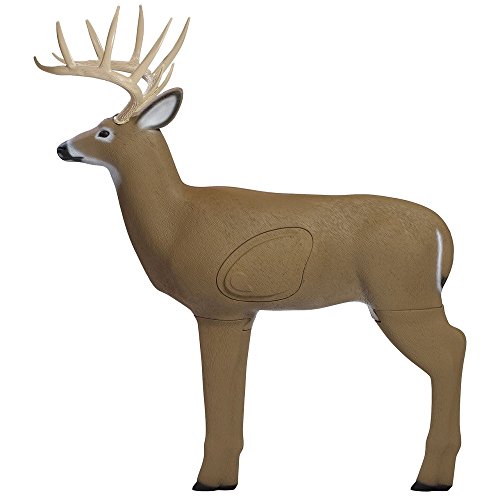 Black Hole Archery Target 18" + Shooter Buck 3D Deer Archery Target with Replaceable Core