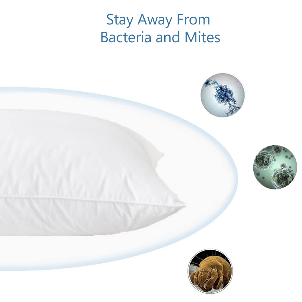 Bedecor 5% Natural Goose Down Pillow Breathable Hypoallergenic,Set of 2 White Standard Size