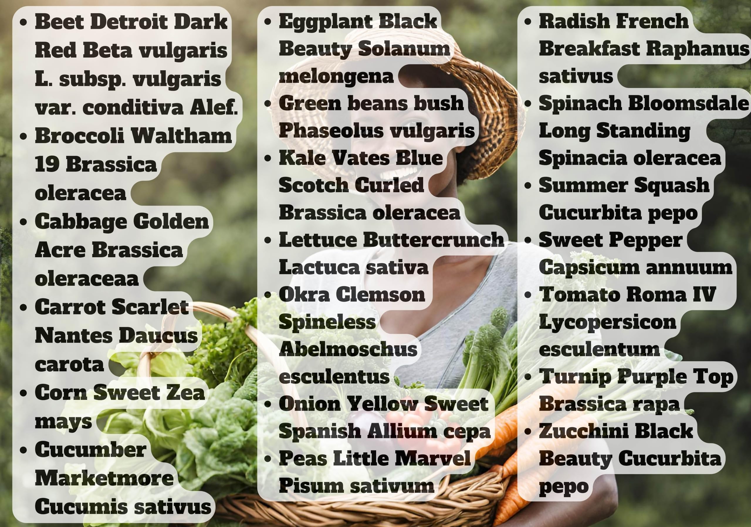 B&KM Farms Non-GMO Heirloom Seed Collection, Over 10,000 Seeds, 20 Varieties, Tomatoes, Zucchini, Carrots, Heavy-Duty Container (4)