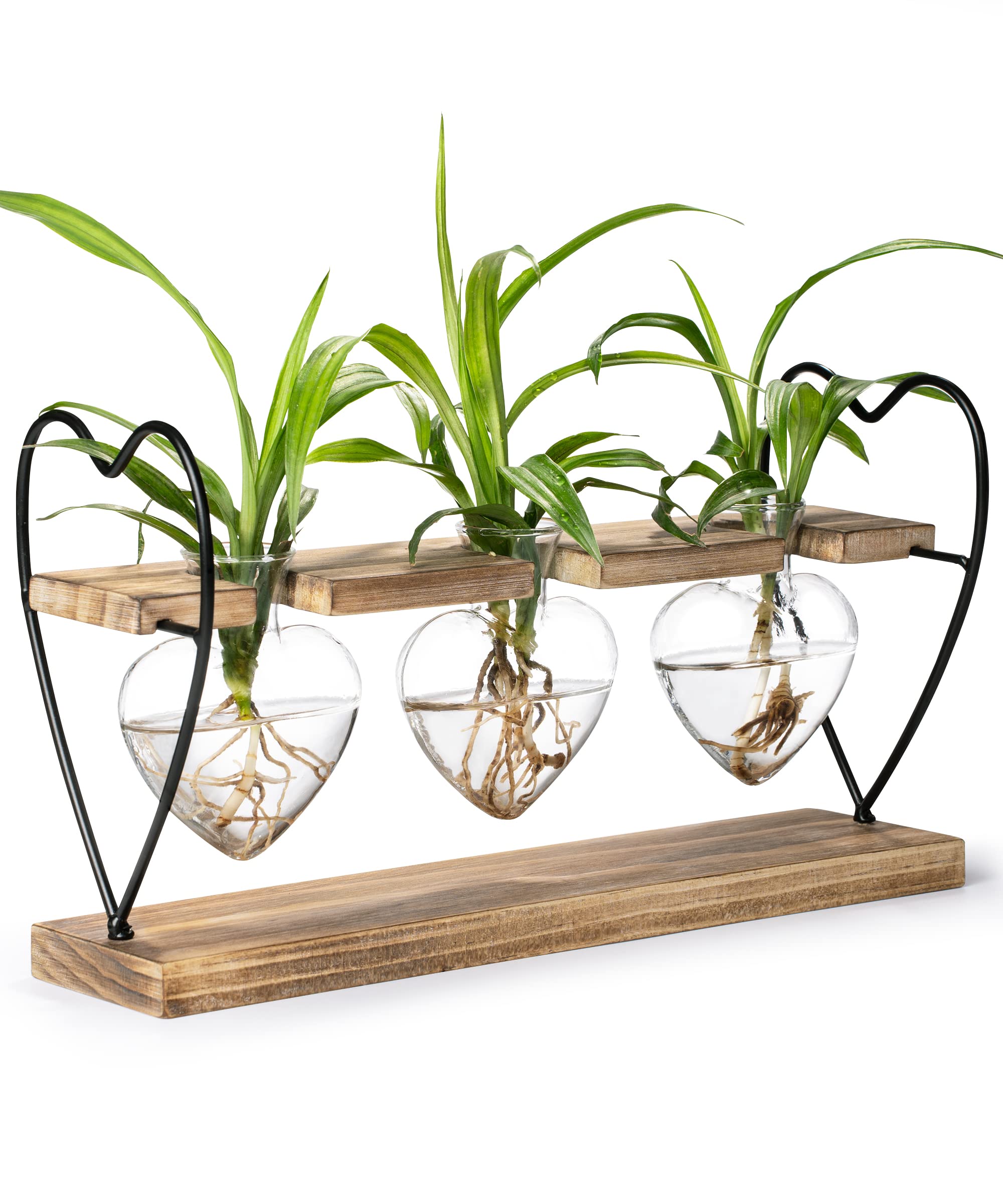 Sapowerntus Heart Propagation Stations, Cute Plant Terrarium Wooden Stand Love Glass Vase, Hydroponic Air Plants Desk Office Garden Mother Gift Decor for Women Plant Lover, 3 Heart Vase
