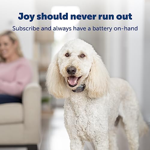 PetSafe RFA-188 3 Volt Replacement Battery Module - Compatible with PetSafe 3V Lithium Battery-Operated Products for Cats and Dogs - ( RFA 188 )