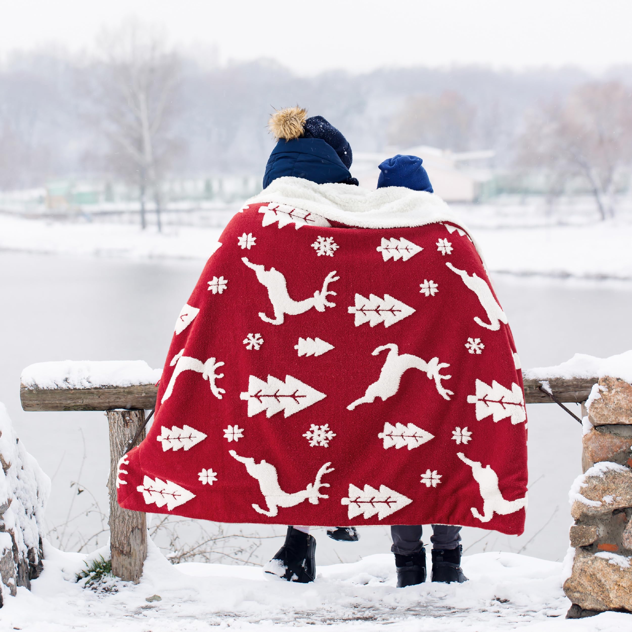 Bedsure Christmas Throw Blanket - Soft and Warm Sherpa Christmas Falala Throw Blankets for Couch, Sofa, Bed, Winter Blanket for Christmas, Decoration Gift Blanket 50"x60"