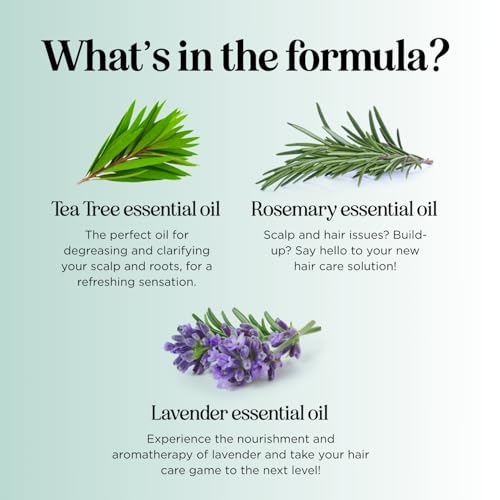 Purifying Rosemary Shampoo Sulfate Free - Lavender Rosemary and Tea Tree Shampoo for Thinning Hair and Scalp Care - Paraben and Sulfate Free Clarifying Shampoo for Build Up with Essential Oils