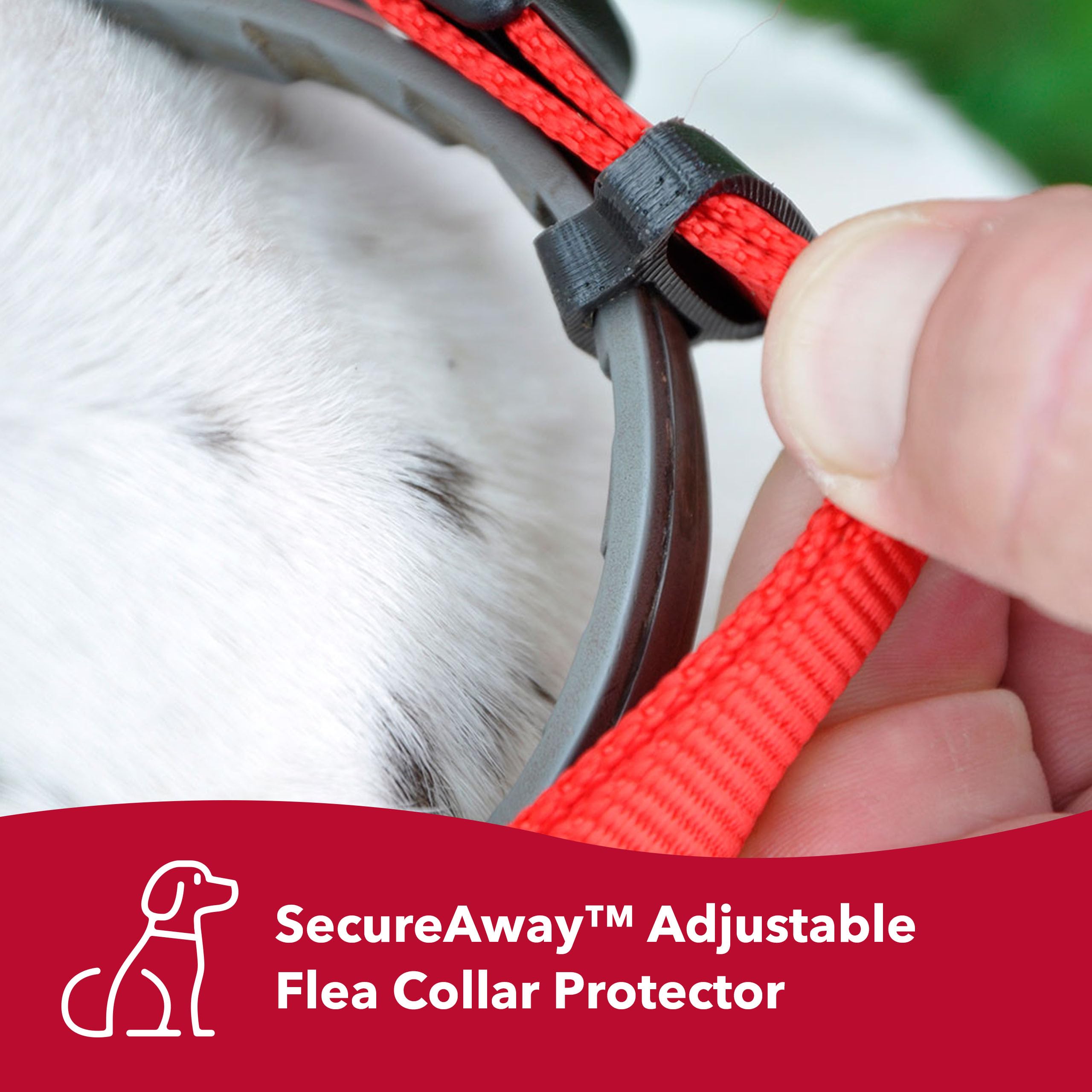 Coastal Pet SecureAway Collar Protector for Flea Collars - Dog Collar Accessory - Protective Collar for Flea Collar for Dogs - Adjustable Dog & Puppy Collar Protection - Red, 1" x 14-20"