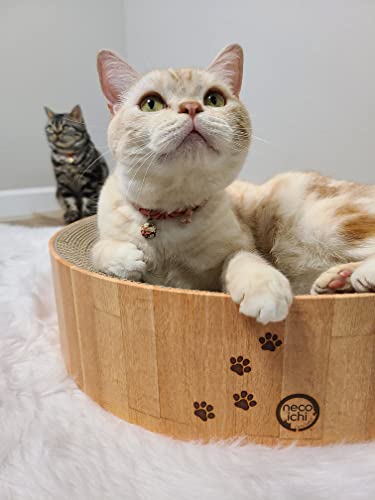 Necoichi Cozy Cat Scratcher Bowl, 100% Recycled Paper, Chemical-Free Materials (Bowl (Oak), Regular)