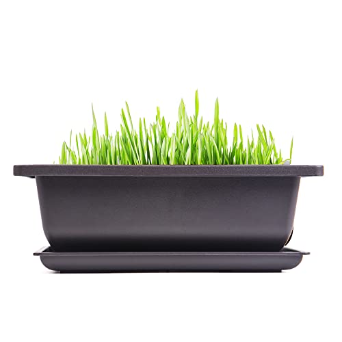 Bonsai Pots β 3pcs Bonsai Pot with Humidity Trays for Indoor Plants β Bonsai Pots with Drainage Tray and Built-In Mesh β Durable Plastic Bonsai Tree Pot with Irrigation Holes β 9"D x 6.7"W x 3"H