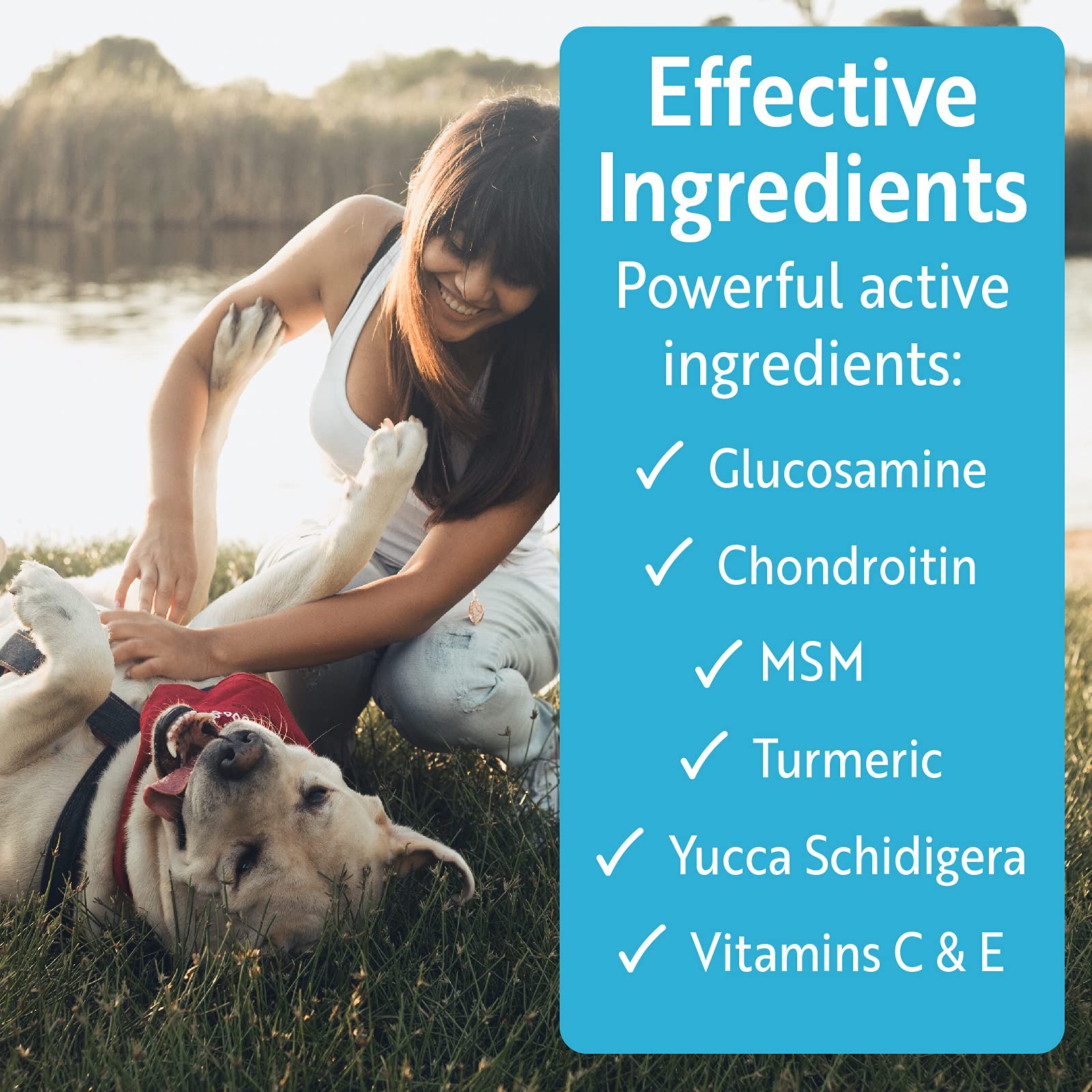 DakPets Glucosamine Chondroitin, MSM, Hip & Joint Supplement for Dogs, Organic Turmeric Soft Chews, Supports Healthy Joint Function and Helps with Pain Relief 120-Count