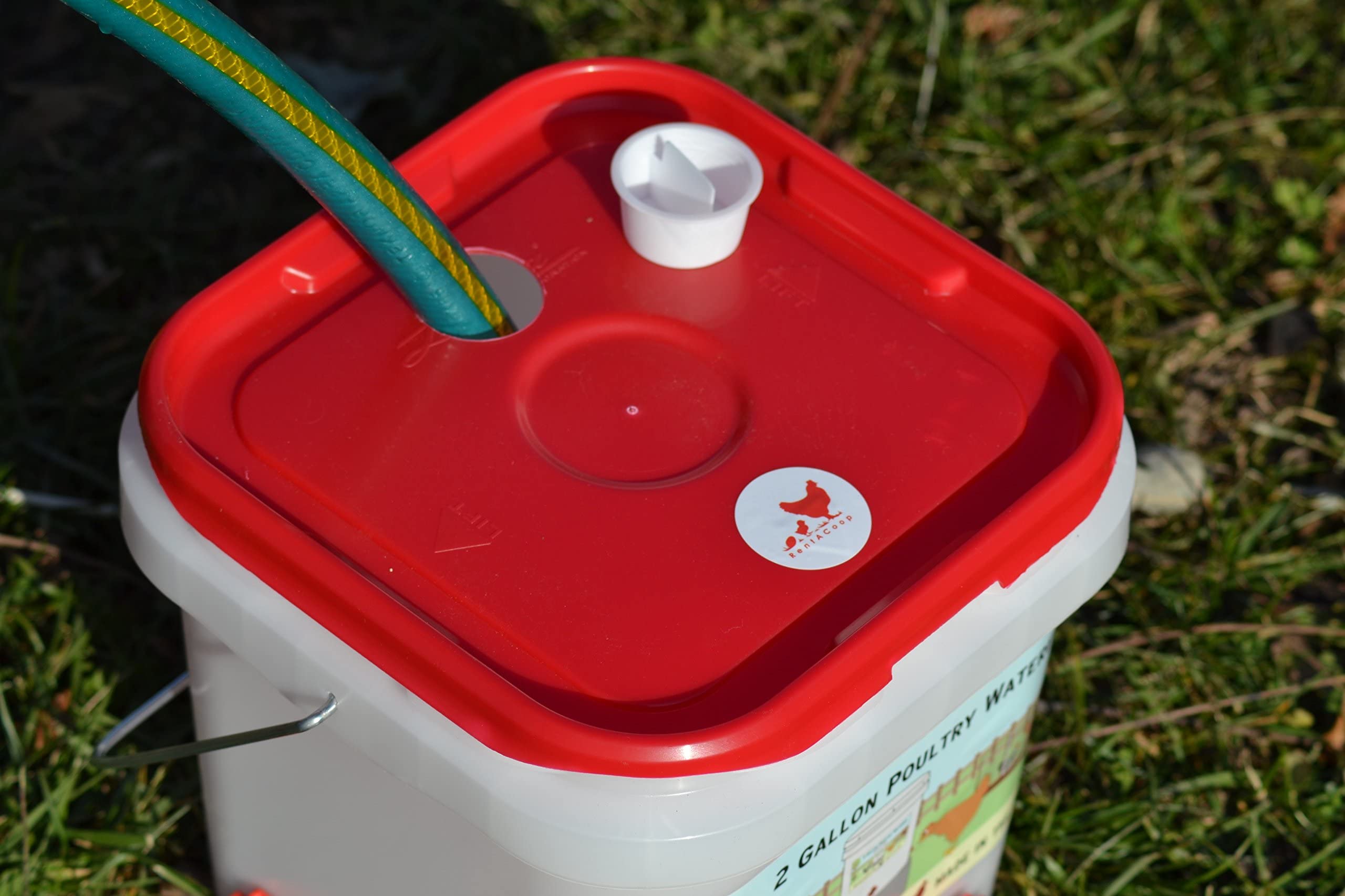 RentACoop 2 Gallon Chicken BPA-Free Plastic Bucket Waterer Set with 4 Horizontal Nipples - Corner Placement